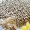 Biodegradable Wheat straw material Packaging - Nicer Packaging