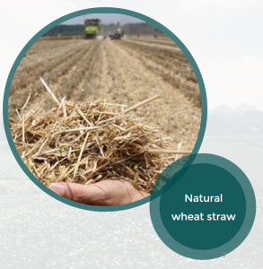 Why we develop wheat straw material for packaging
